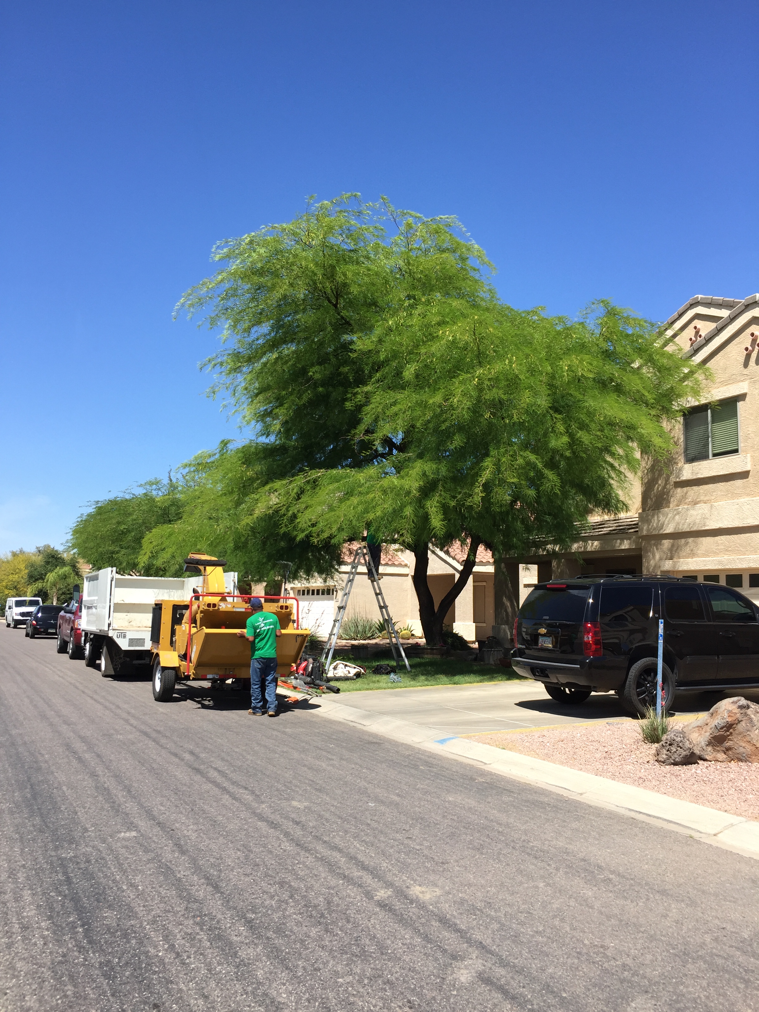 img_2137 – Landmasters Landscaping